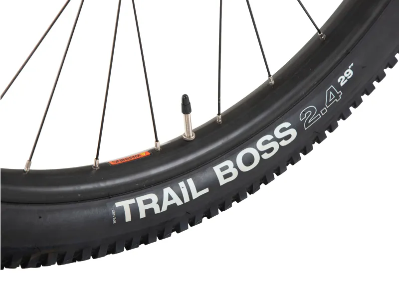 Forme Black Rocks HT2 29er 2022 Hardtail Mountain Bike - Purple