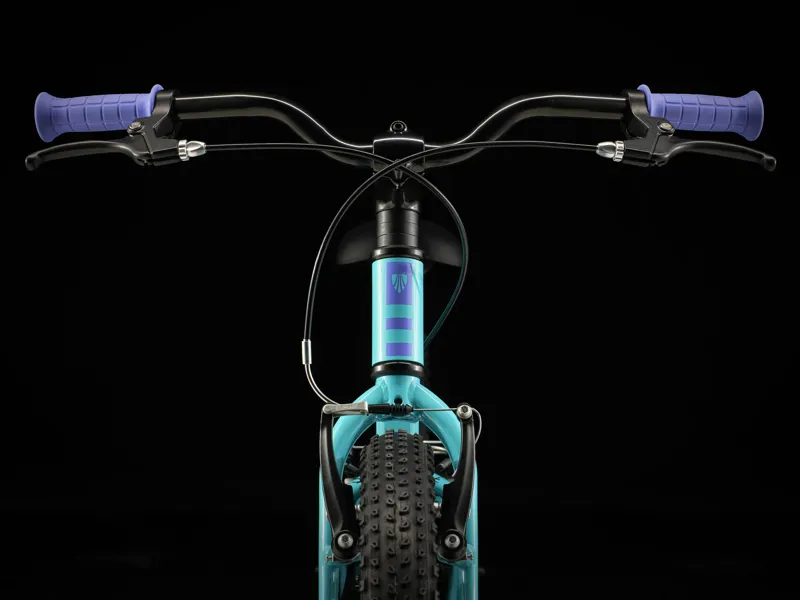 Trek precaliber 20 2020 store