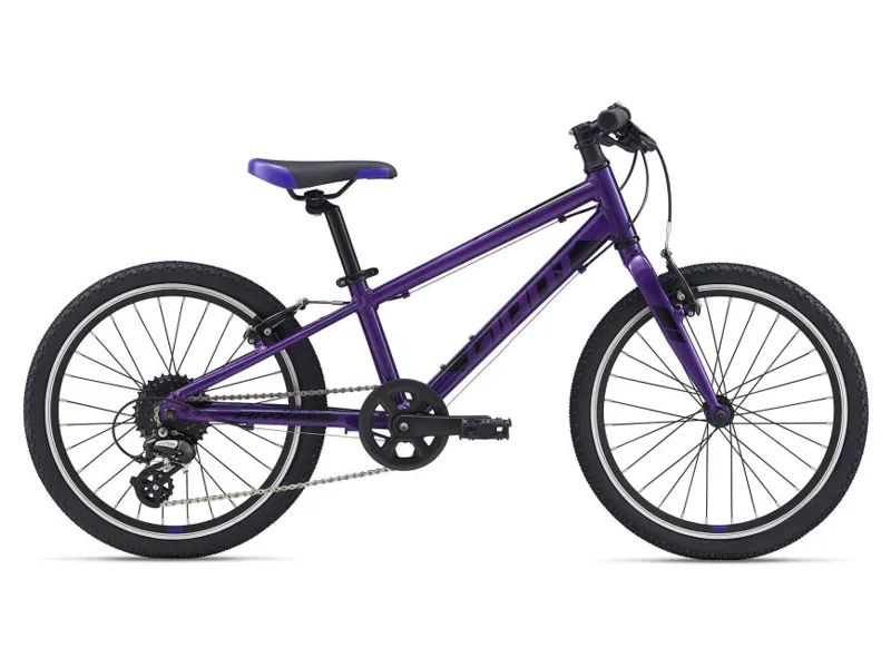 Giant ARX 20 2021 Kids Bike - Purple/Black