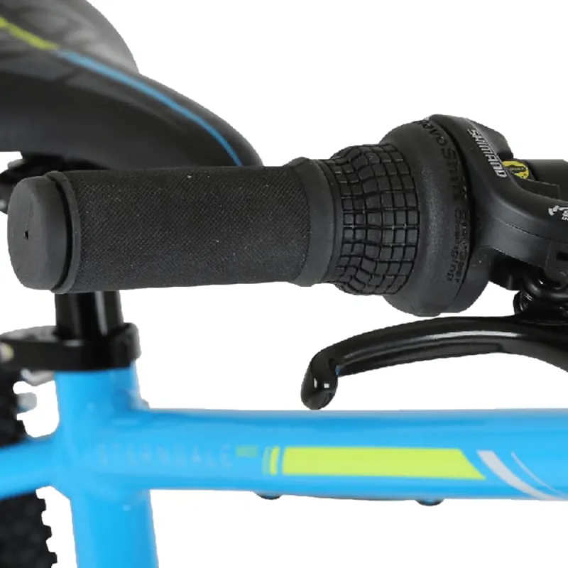 Forme Sterndale MX 20 inch 2019 Kids Bike - Blue